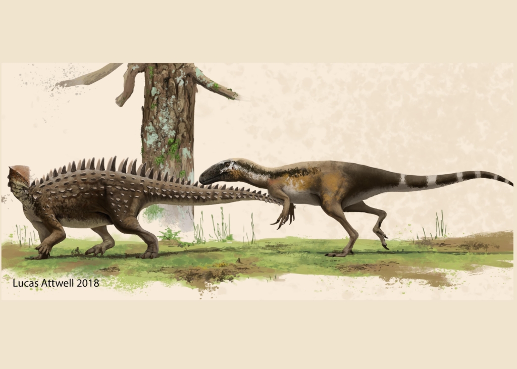 Dinosaurier aus Deutschland | urzeittiere.net