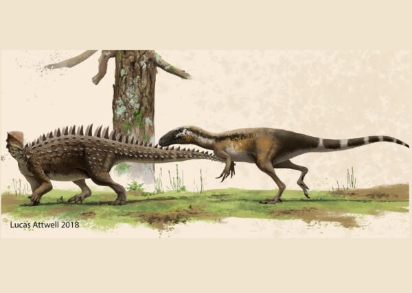 Dinosaurier aus Deutschland | urzeittiere.net