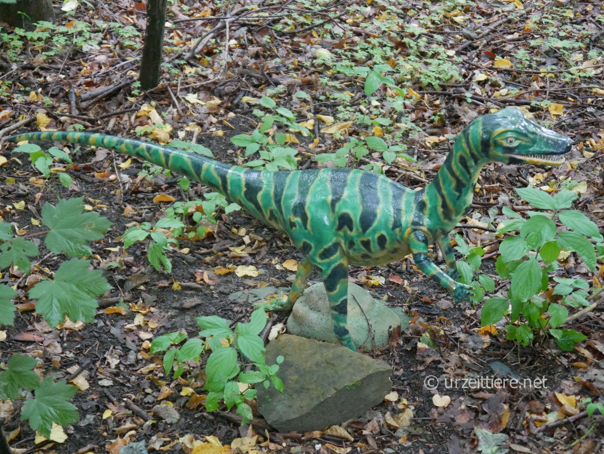 Dinosaurier aus Deutschland | urzeittiere.net